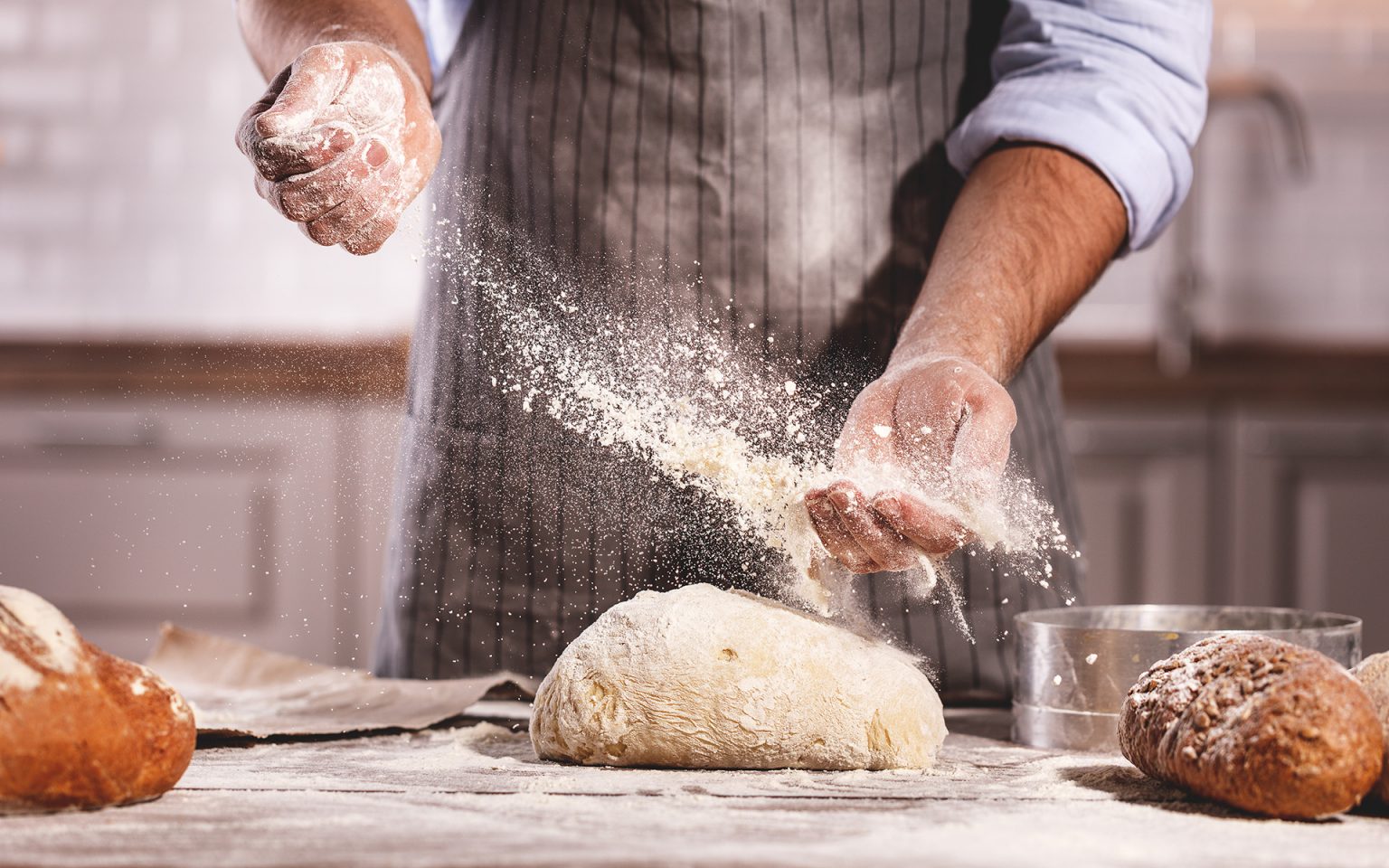 Manufacturer & Supplier of Food Additives & Bakery Enzymes